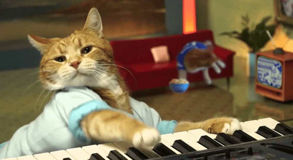 The "Keyboard Cat", Bento dies at age nine